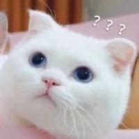 OpenCV实现显示窗口大小可调整imshow函数鼠标拖动 namedwindow设置窗口大小 CSDN博客