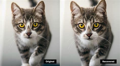 Super Focus Legacy Topaz Photo Ai