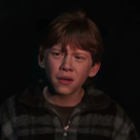 Ronald Weasley Harry Potter Icons Weasley Harry Potter Harry Potter