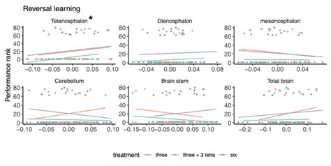 The Relationship Of Reversal Learning Performance And Brain Morphology