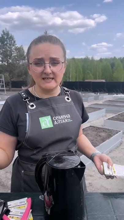 Укроп и петрушка взойдут быстро и дружно сад дача огород Semenaaltaya Youtube