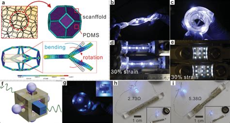 A Finite Element Fe Simulations Of The Deformation Of 3d Stretchable