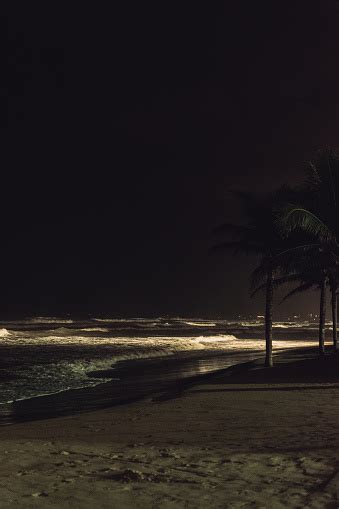 밤에 미케 해변의 전망 베트남 다낭 해안에 부딪히는 파도 코코넛 나무 0명에 대한 스톡 사진 및 기타 이미지 0명 경관 관광 Istock