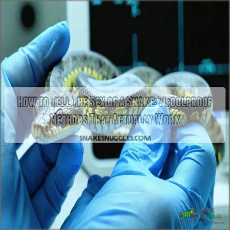 How To Tell The Sex Of A Snake 7 Foolproof Methods That Actually Work