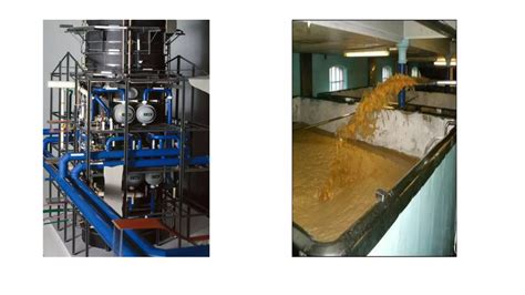 Single Cell Protein Pptx