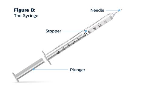 Injection Therapy Guide For Erectile Dysfunction Menmd
