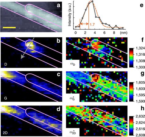 Tip Enhanced Raman Spectroscopy Analytical Chemistry