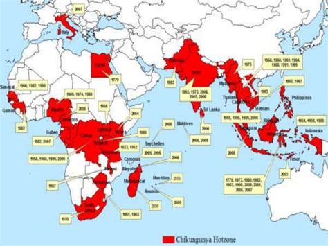 Emerging And Re Emerging Vector Borne Diseases Pptx Infectious