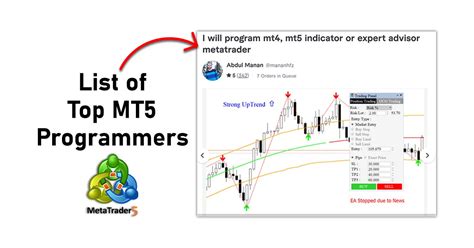 List Of Top Mt5 Programmers What Is Mt5 Programmer By Chrislouis Jan 2024 Medium