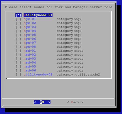 How Should I Set Up Slurm On A Dgx Cluster Bright Cluster Manager Knowledge Base