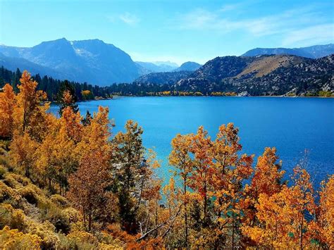 California Fall Color Map The Best Places To Spot Fall Color In