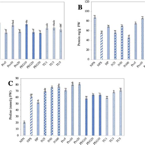 Schematic Representation Of Seed Priming Download Scientific Diagram