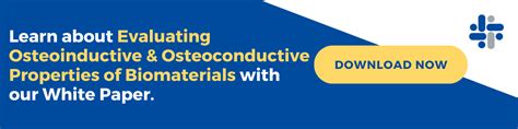 Osteoinductive And Osteoconductive Biomaterials For Bone Defects