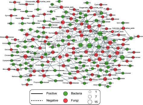 Network Based On Spearman Correlation Coefficients P 005 Showing