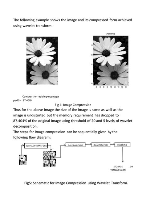 Wavelet Transform And Its Applications In Data Analysis And Signal And Image Processing Pdf
