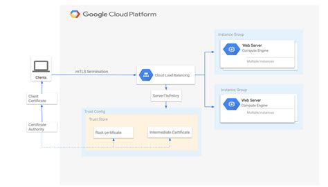 tls and mtls connection with gcp application load balancer by pawan