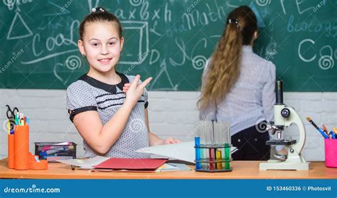 Educational Experiment Formal Education School Back To School School