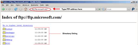 Connecting To FTP Sites With A Web Browser HeelpBook