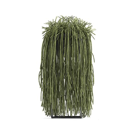 6 Teeth Rake Garland