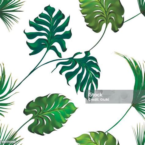 열 대 야 자 나뭇잎 그려진 벡터 컬렉션 완벽 한 패턴입니다 0명에 대한 스톡 벡터 아트 및 기타 이미지 0명 금 금속 꽃무늬 Istock