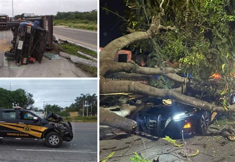 Un árbol Y Un Conductor Ebrio Destrozan Patrullas De La Ssp