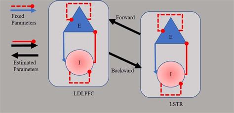 Two State Dynamic Causal Model Of The Fronto Striatal Network Each