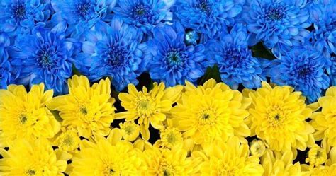 Презентація НУШ 5 клас Особливості будови розповіді Письмовий твір розповідь на основі