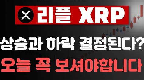 리플전망 이번주부터 상승과 하락이 결정된다 오늘 영상은 꼭 보셔야합니다 리플전망 리플호재 리플급등 리플코인 리플소송 리플시세 리플xrp Youtube