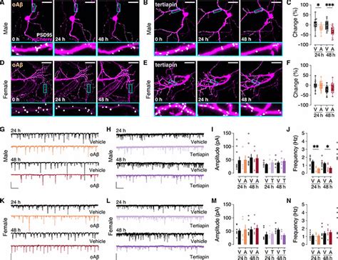 Bruna Maitan Santos Phd On Linkedin Amyloid β Oligomers Trigger Sex