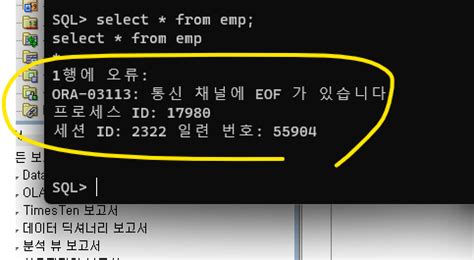 Oracle SQL merge dictionary 사전 LOCK UPDATE 서브쿼리 데이터