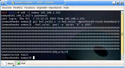 ayrion uno sguardo sul domani buffer overflow
