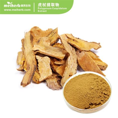 Polygonum Cuspidatum Extract