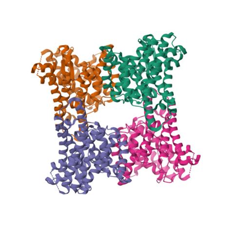 Rcsb Pdb 8h6q Class I Sesquiterpene Synthase Bcbot2 Apo