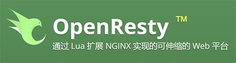 Nginx 通过 Lua Redis 实现动态封禁 Ipnginx Redis 设置自动黑名单 Csdn博客