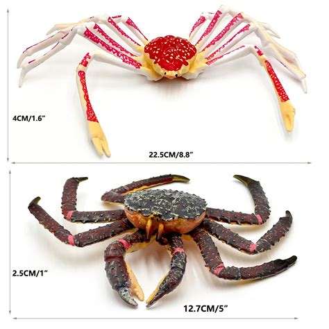 Nature Picture Library Giant Japanese Spider Crab Japanese Spider Crab Macrocheira Kaempferi
