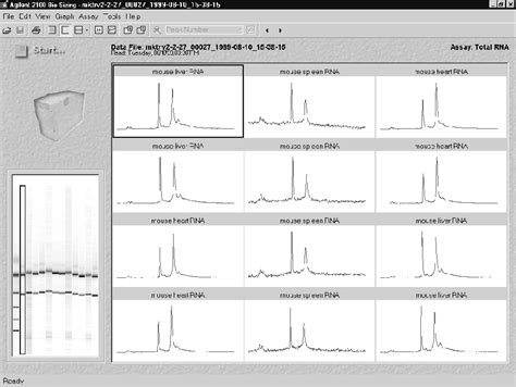 Figure 1 From Analysis Of Total Rna Using The Agilent 2100 Bioanalyzer