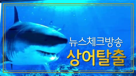 상어 탈출 대전 신세계백화점 아쿠아리움 상어 수족관 아쿠아리움 방학 Youtube