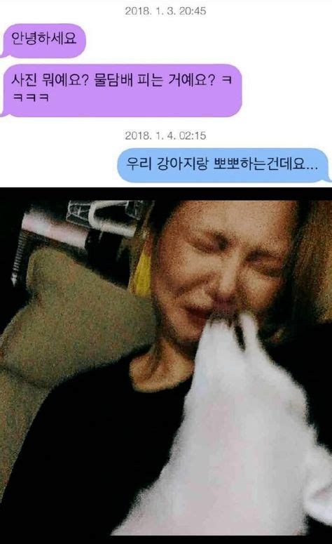 유머에 관한 인기 이미지 개 유머 웃긴 웃긴 밈