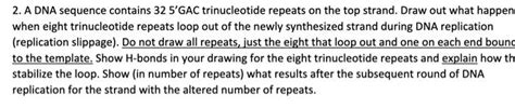 Solved 2 A Dna Sequence Contains 325′gac Trinucleotide