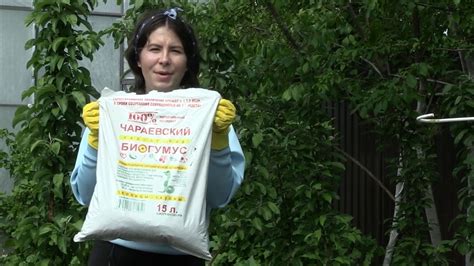 ЛУК СЕВОК. Дачные сезоны с Мариной Рыкалиной - YouTube