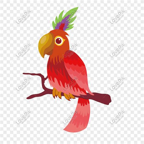 빨간 앵무새 벡터 무료 일러스트 레이션 Png 일러스트 무료 다운로드 Lovepik