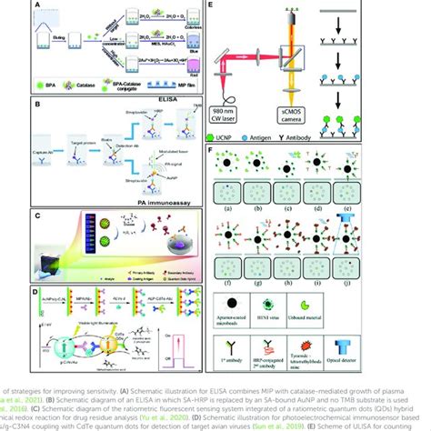 Examples Of Electrochemical Biosensors A Schematic Illustration Of Download Scientific