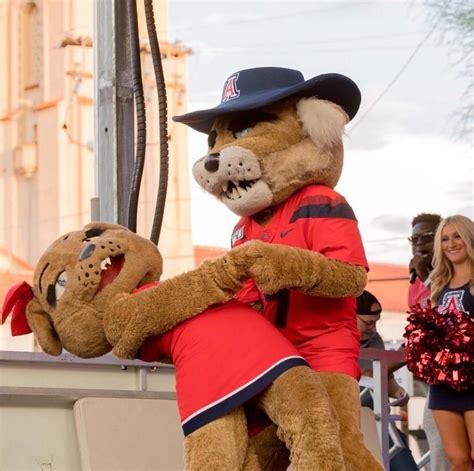 Get To Know Our Mascots Wilbur And Wilma The Daily Wildcat