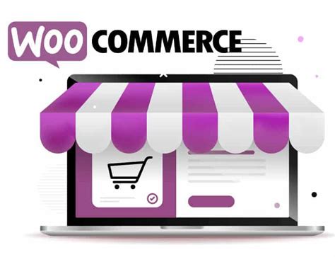 Quest Ce Quun Expert Ecommerce Woocommerce Web18 Agence Web Paris