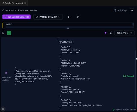 Pii Data Extraction Scrubbing Boundary Documentation