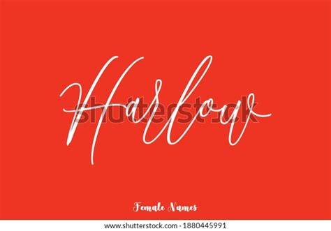 Harlowfemale Name Typescript Cursive Calligraphy On Stock Vector Royalty Free 1880445991