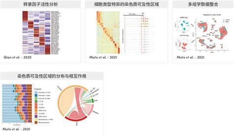 单细胞多组学完整解决方案