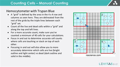 Accurate Cell Counting Is Critical For Determining Output Cell Count Yield Recovery Etc