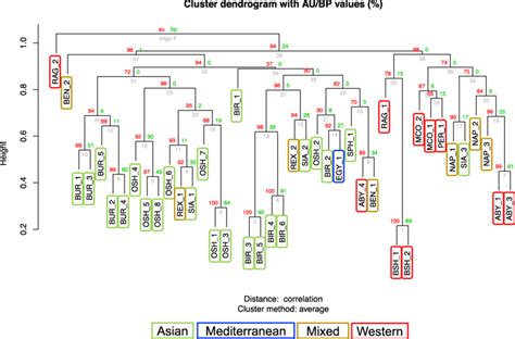 Clustering Analysis Using Cnvrs Colored Rectangles Correspond To