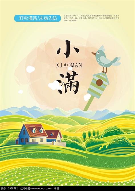 小满二十四节气海报设计图片下载 红动中国